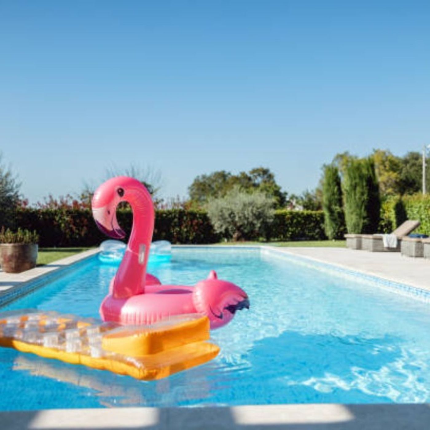 Poop In The Pool - Seekr