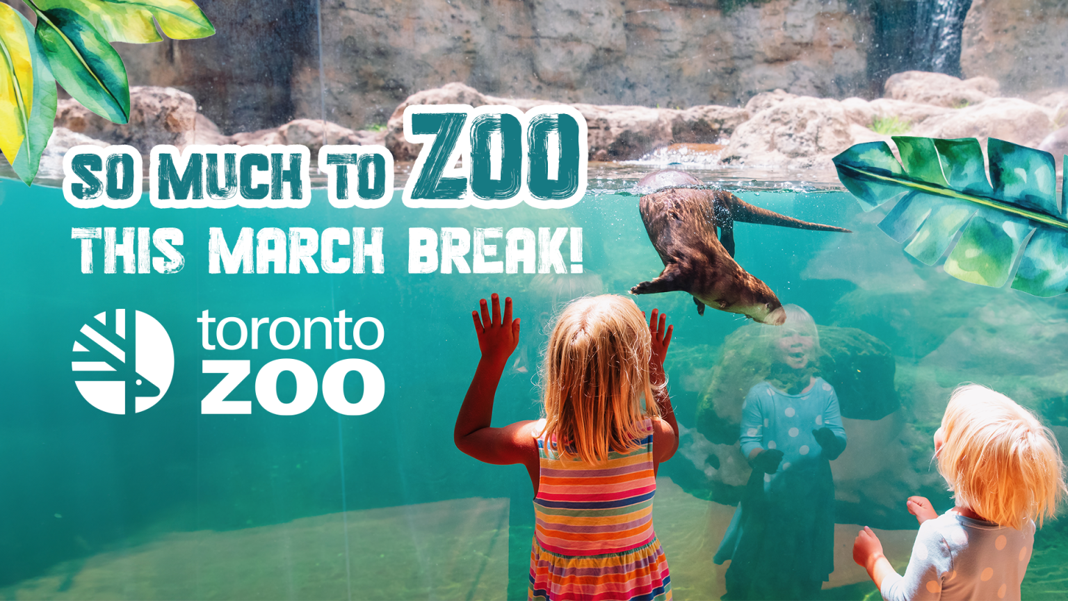 Win Passes to the Toronto Zoo - Seekr