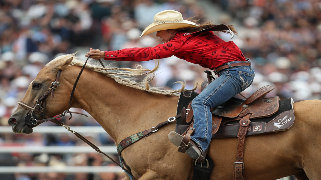 Win Stampede Ride All Day Passes and Rodeo Tickets! - Seekr