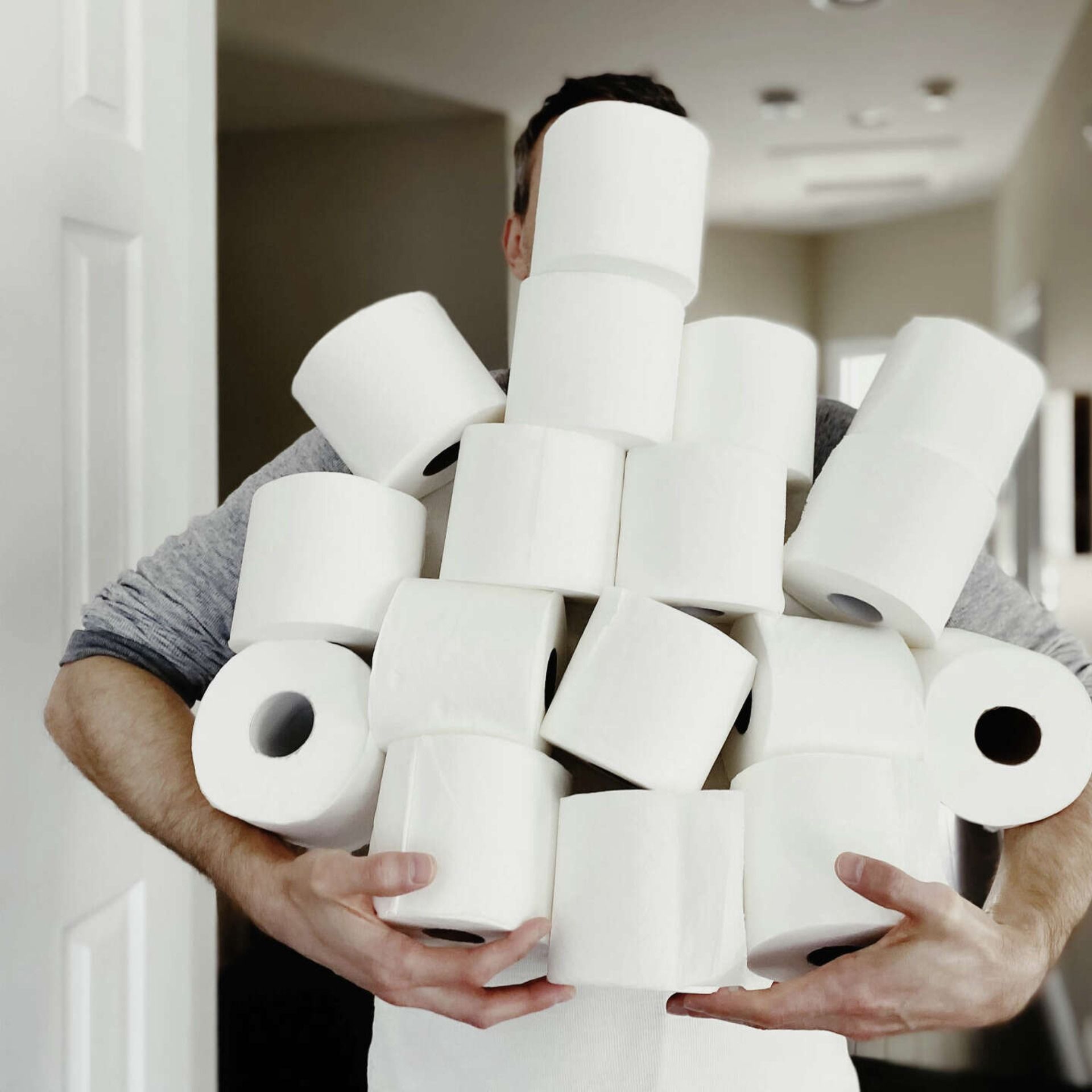 National Toilet Paper Day! - Seekr