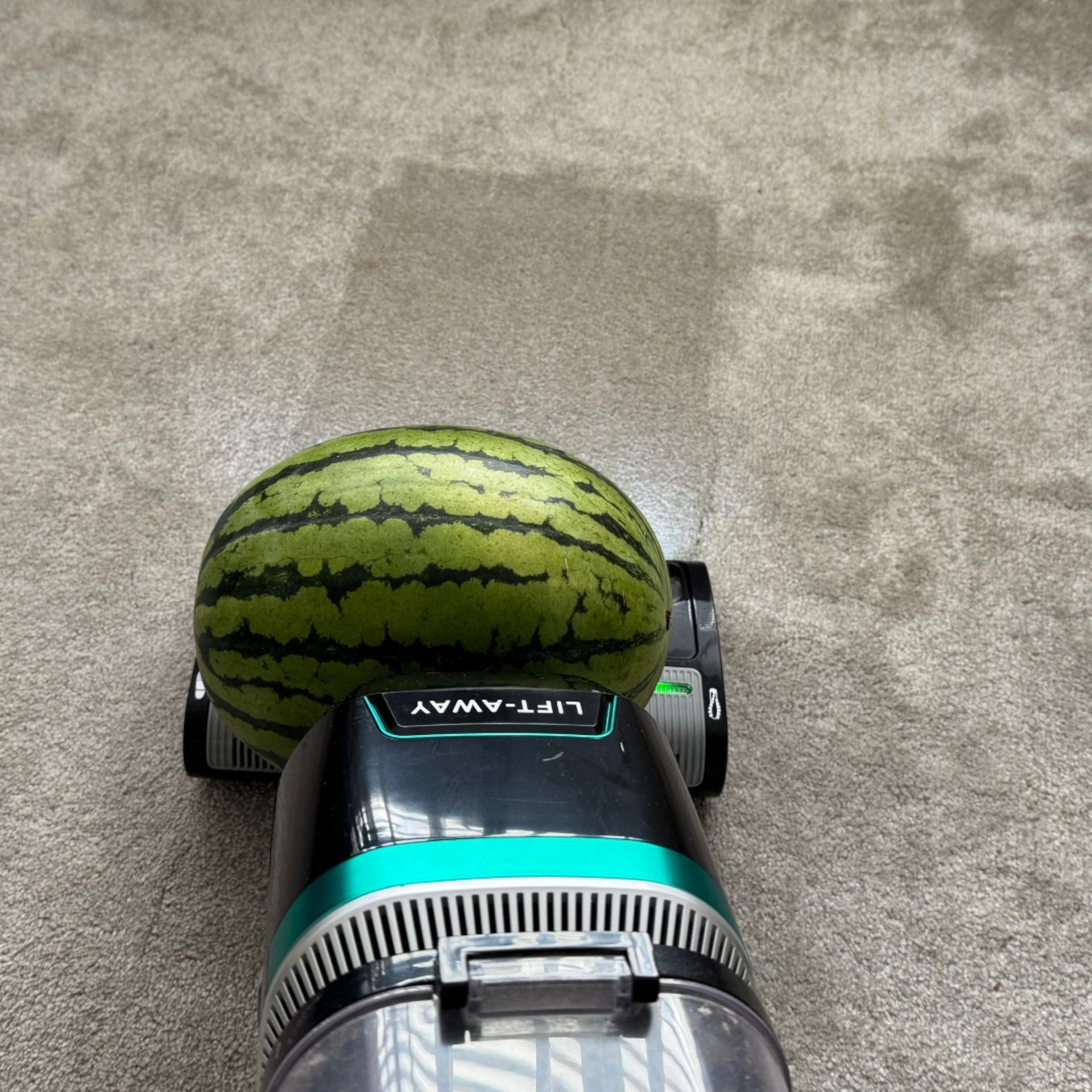Watermelon.. on the vacuum?? - Seekr