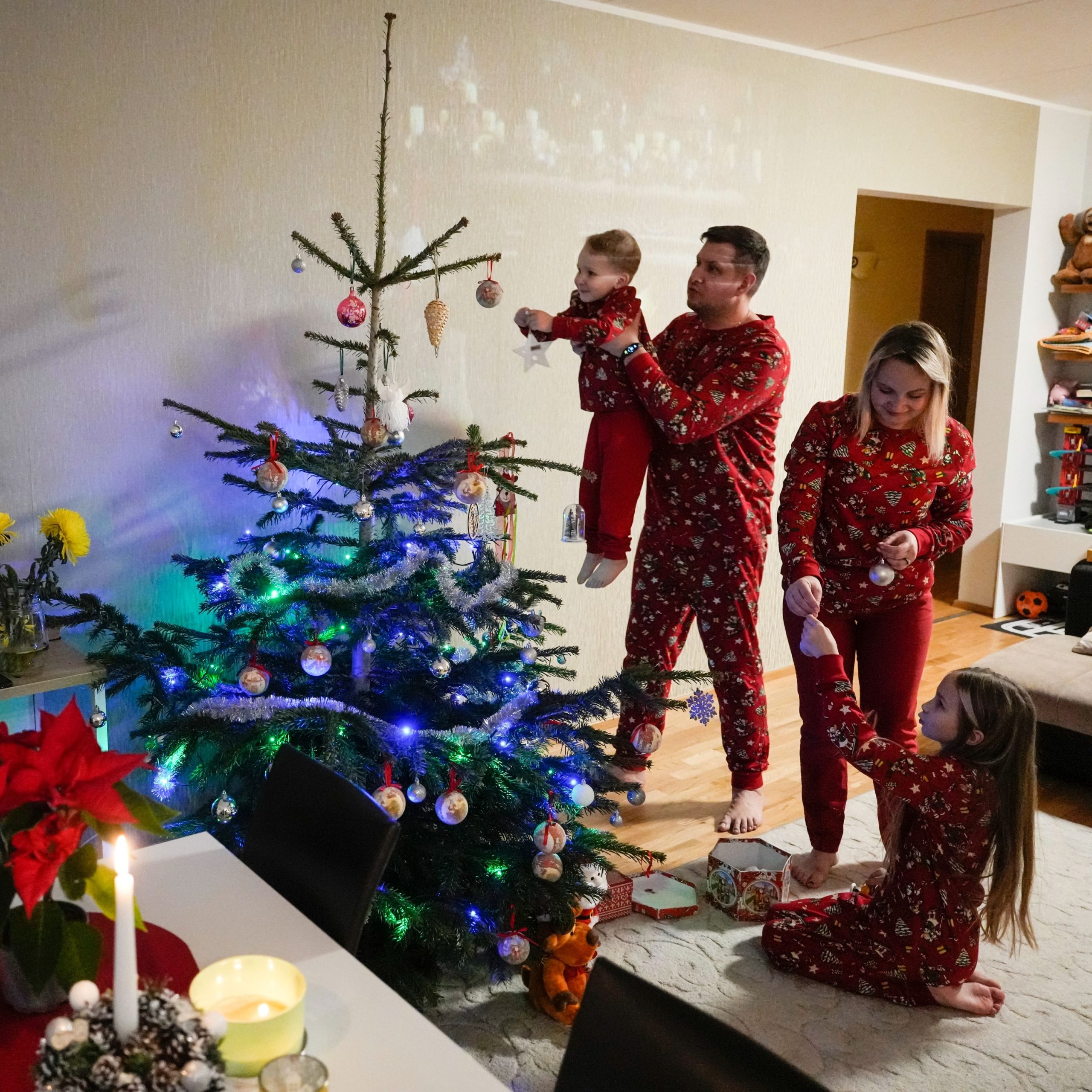 Holiday Hazards: Decorating Disasters & Kitchen Chaos - Seekr